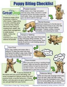 The Best Way to Handle Puppy Biting - What a Great Dog!